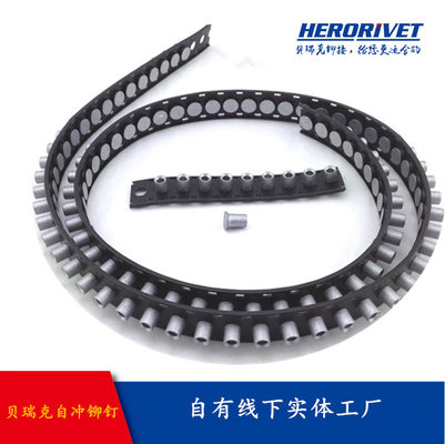 Galvanized Stamping Machine Rivet with Latest Technology